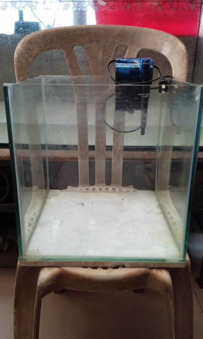 Cube tank 12x12x12 and hob filter, Pet Supplies, Homes & Other Pet ...