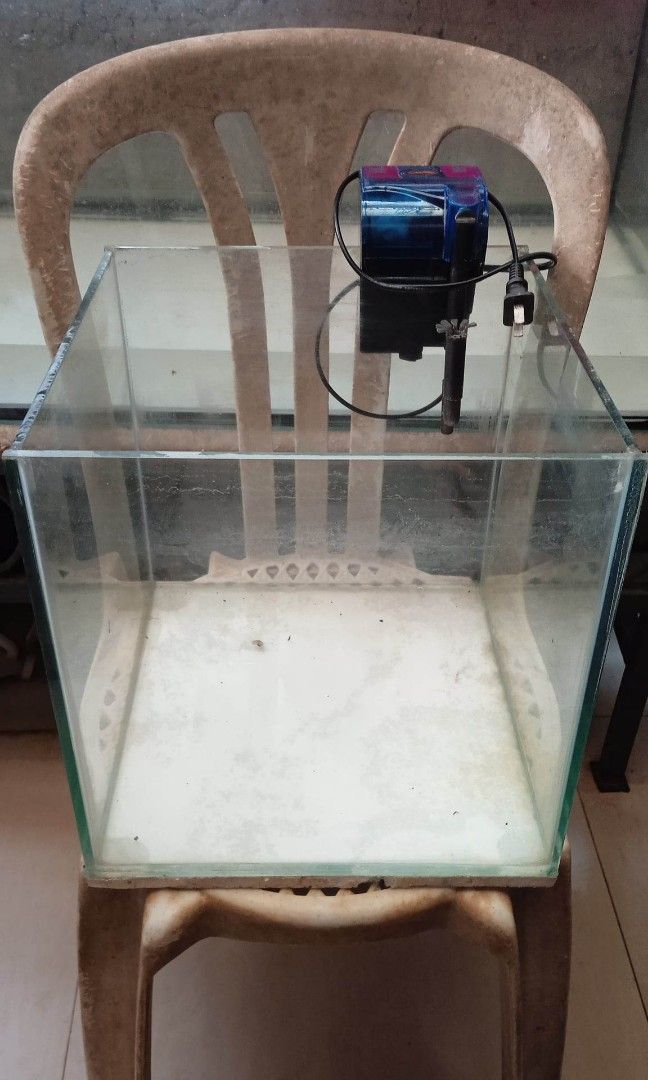 Cube tank 12x12x12 and hob filter, Pet Supplies, Homes & Other Pet ...