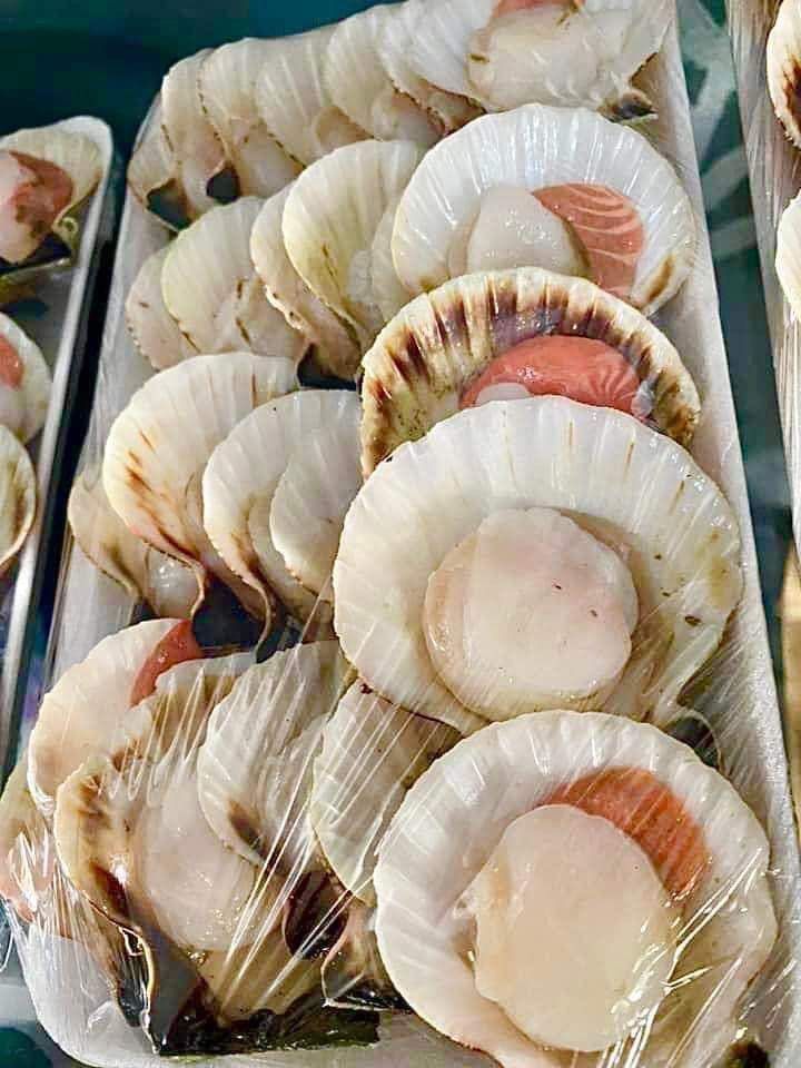 Fresh half shelled scallops, Food & Drinks, Fresh Produce on Carousell