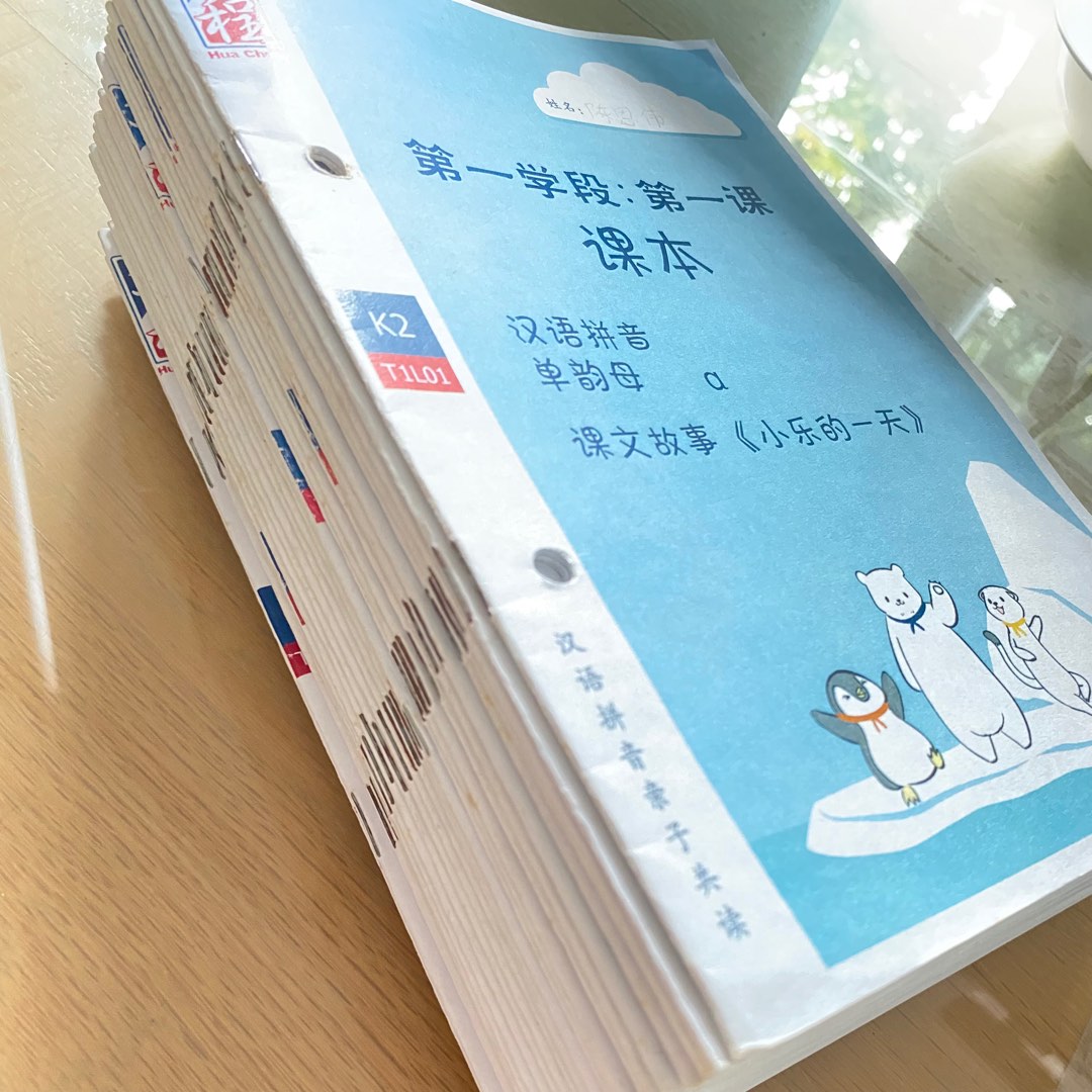 Hanyu Pinyin Readers (31 books), Hobbies & Toys, Books & Magazines ...