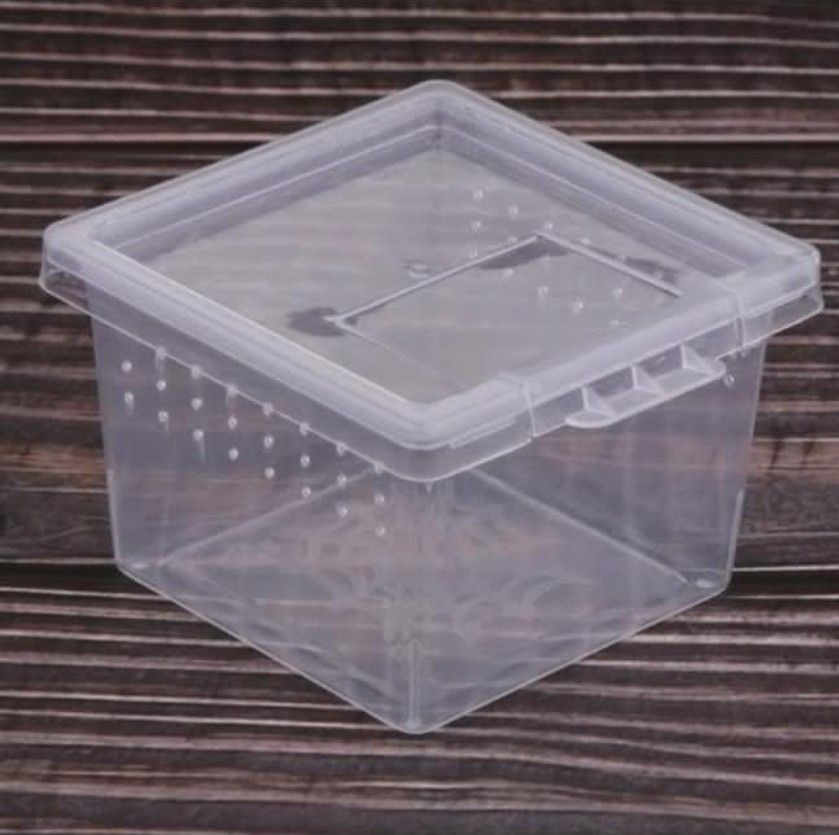 Mantis insect containers, Pet Supplies, Homes & Other Pet Accessories ...