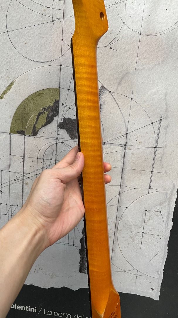 Musikraft Telecaster Flame Maple Neck Rosewood Fretboard, Hobbies ...