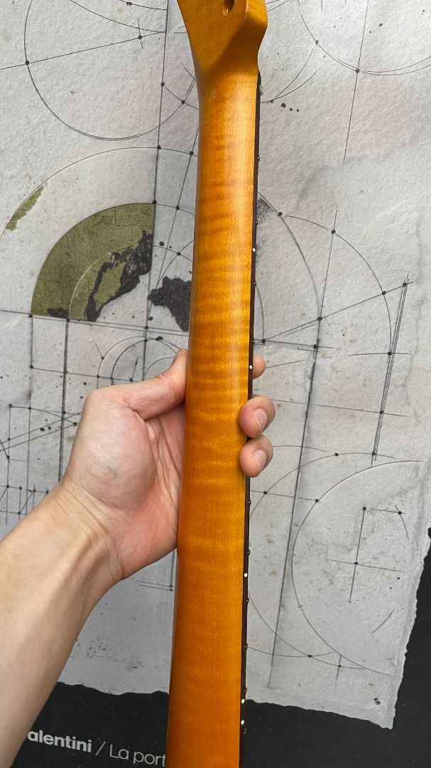 Musikraft Telecaster Flame Maple Neck Rosewood Fretboard, Hobbies ...