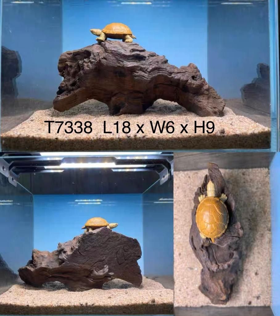 Premium Teak Driftwood for Aquarium Aquascaping, Pet Supplies, Homes ...