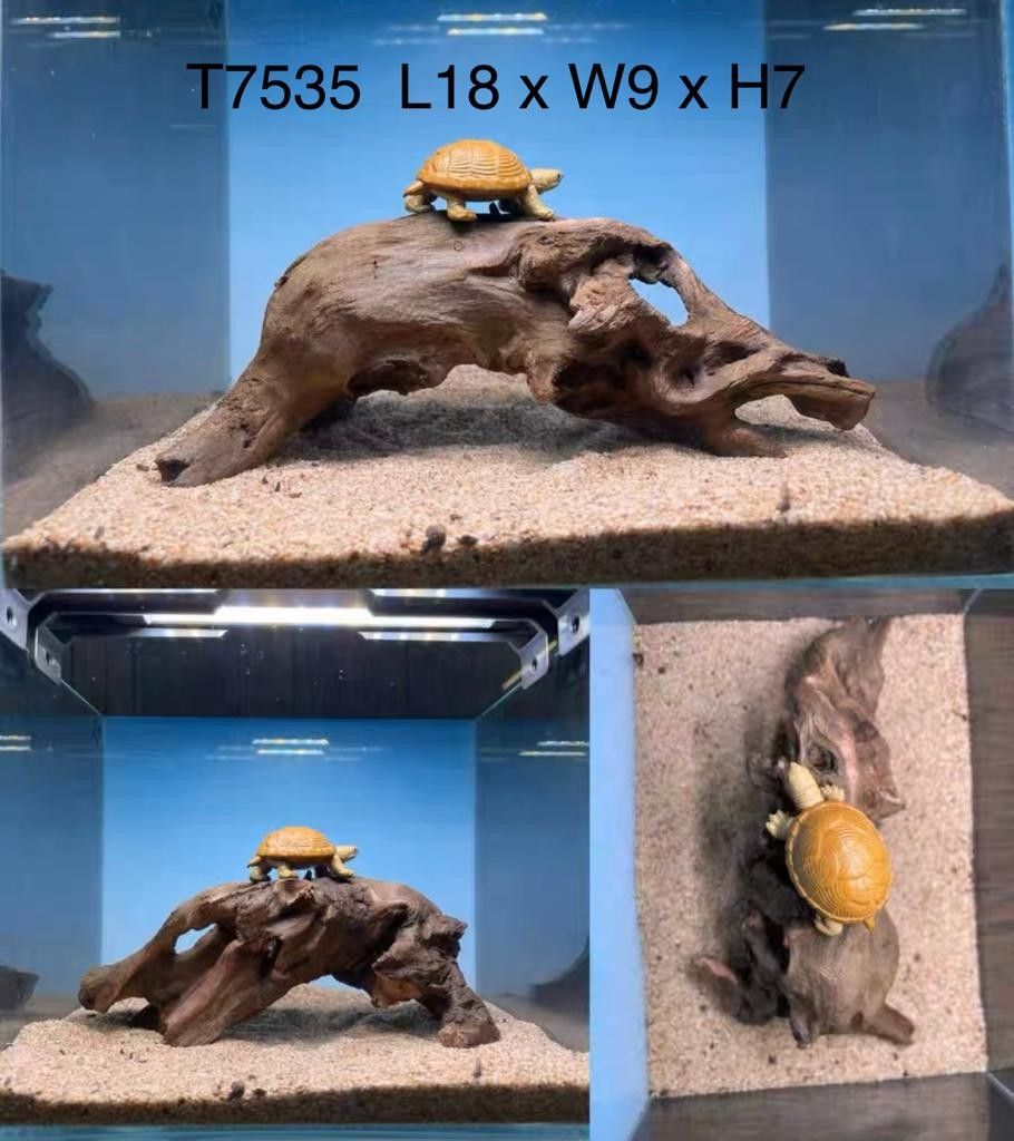 Premium Teak Driftwood for Aquarium Aquascaping, Pet Supplies, Homes ...