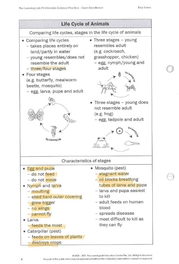 PSLE P6 P5 P4 P3 Science Notes / Science Answering Technique / Lower ...