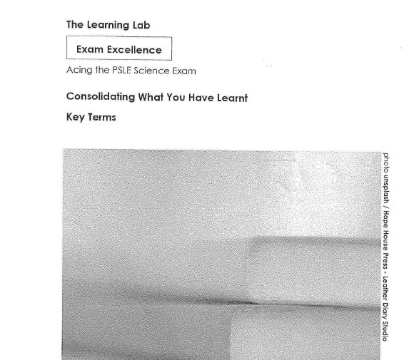 PSLE P6 P5 P4 P3 Science Notes / Science Answering Technique / Lower ...