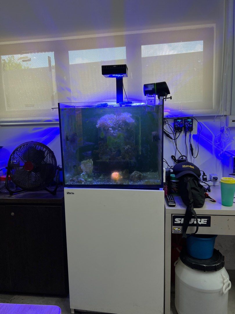 Red Sea Reefer 170 full set, Pet Supplies, Homes & Other Pet ...