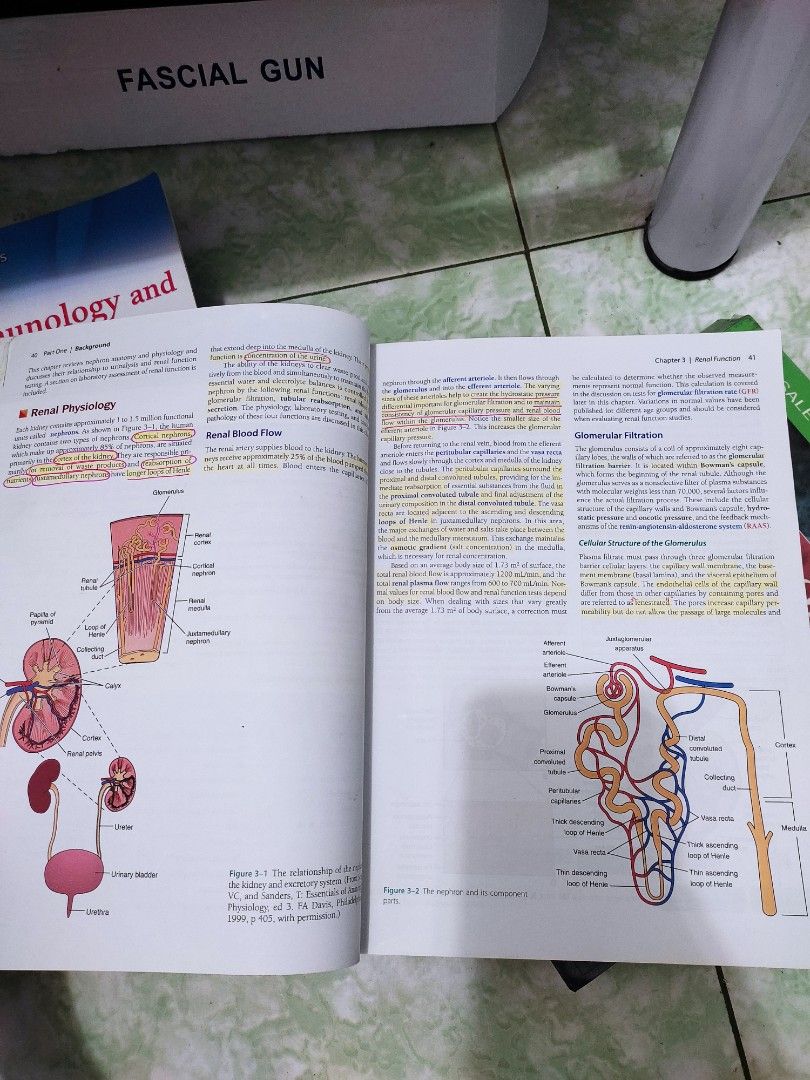Strasinger Urinalysis and Body Fluids 6th Edition, Hobbies & Toys ...