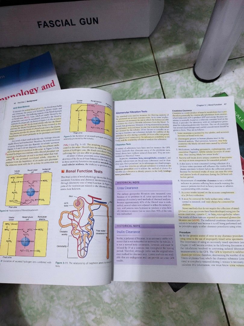 Strasinger Urinalysis and Body Fluids 6th Edition, Hobbies & Toys ...