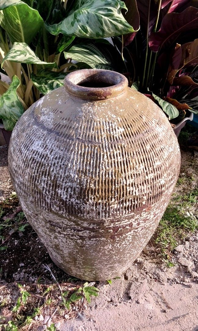 Tempayan Antik 70an, Hobbies & Toys, Collectibles & Memorabilia ...