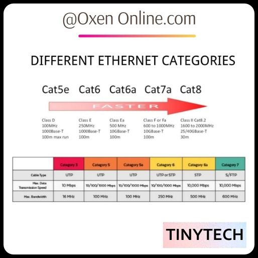 Tinytech RJ45 CAT6 305M ROUND Ethernet Network LAN Cable UTP Patch ...
