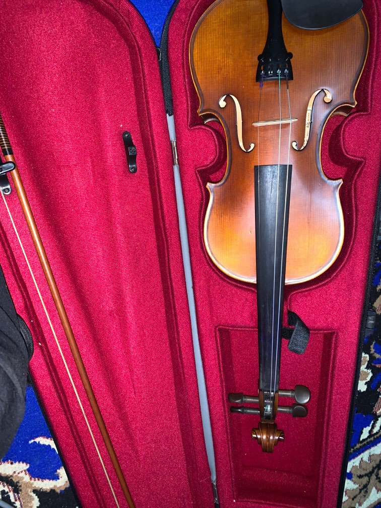 Viola, Hobbies & Toys, Music & Media, Music Accessories on Carousell