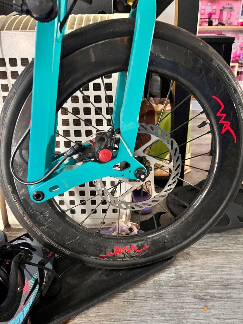 Wheel angel 20” for birdy carbon fiber rims, m60 hub, Sports Equipment ...