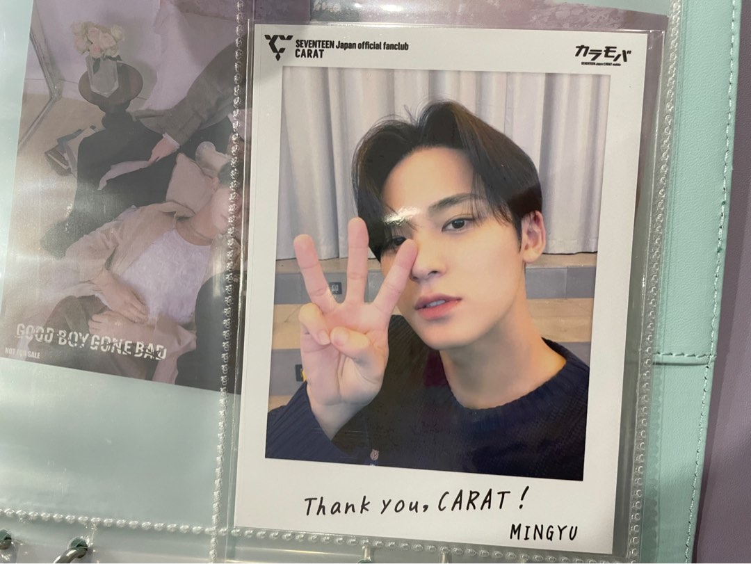 wts seventeen svt mingyu pc, Hobbies & Toys, Memorabilia & Collectibles ...