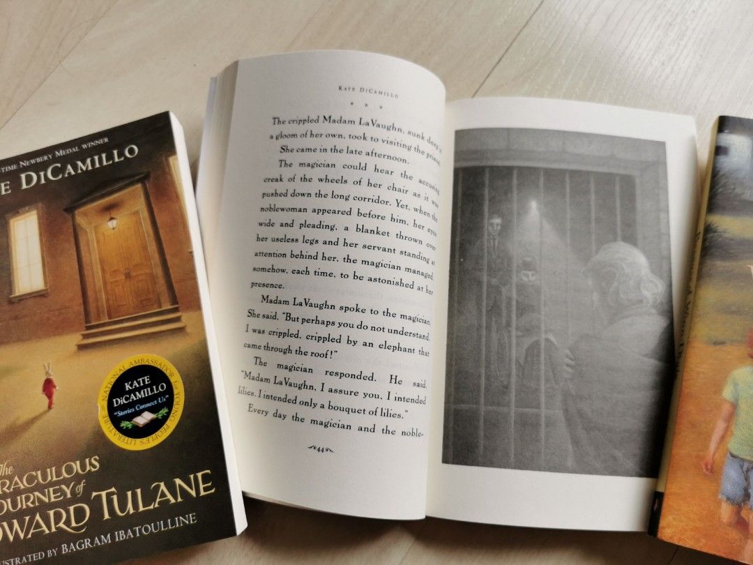 5-book Kate DiCamillo collection, Hobbies & Toys, Books & Magazines ...