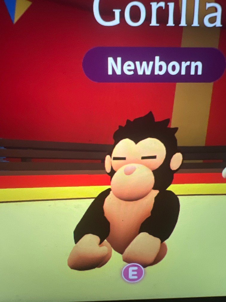 Adopt Me gorilla, 興趣及遊戲, 玩具 & 遊戲類 - Carousell