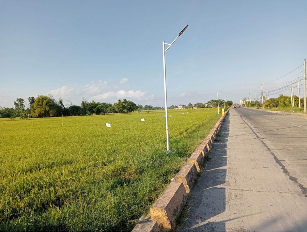 Agricultural lot for sale in Nueva Ecija near CLEX, Property, For Sale, Lot on Carousell