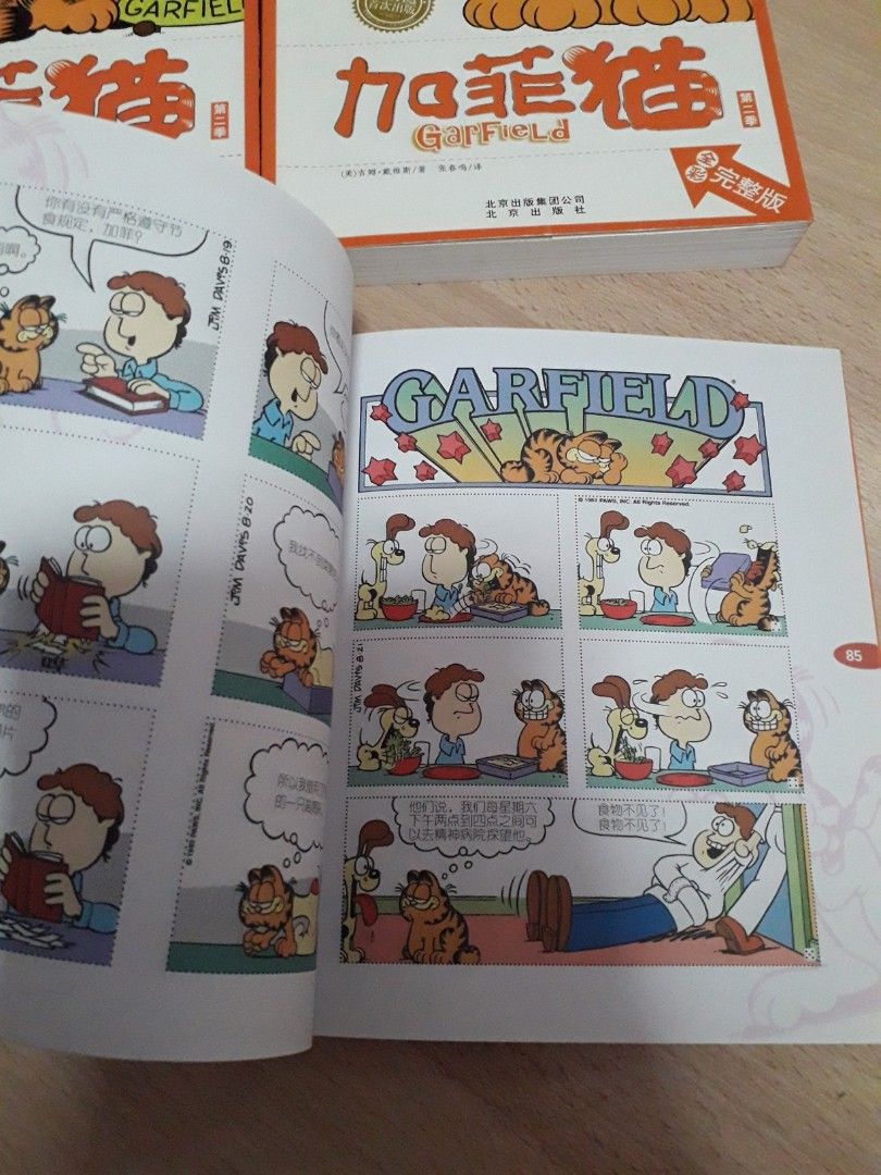 GARFIELD CHINESE COMICS BOOKS, Hobbies & Toys, Books & Magazines ...