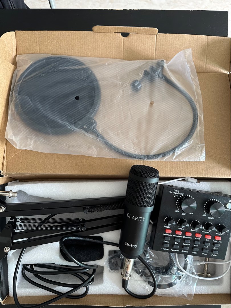Professional Condenser Microphone, Audio, Microphones on Carousell