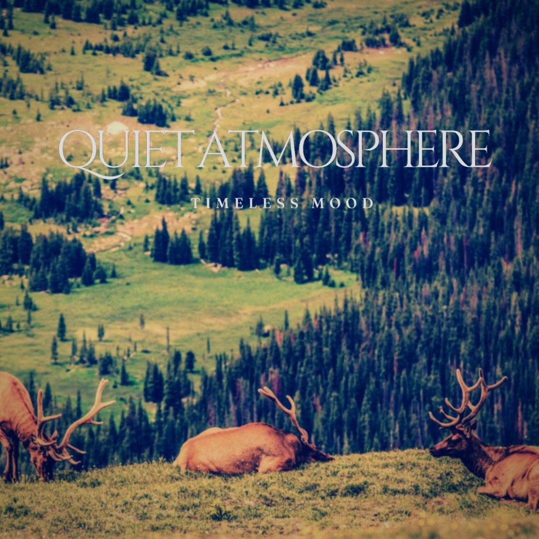 Quiet Atmosphere -- Timeless Mood, Hobbies & Toys, Music & Media, CDs ...