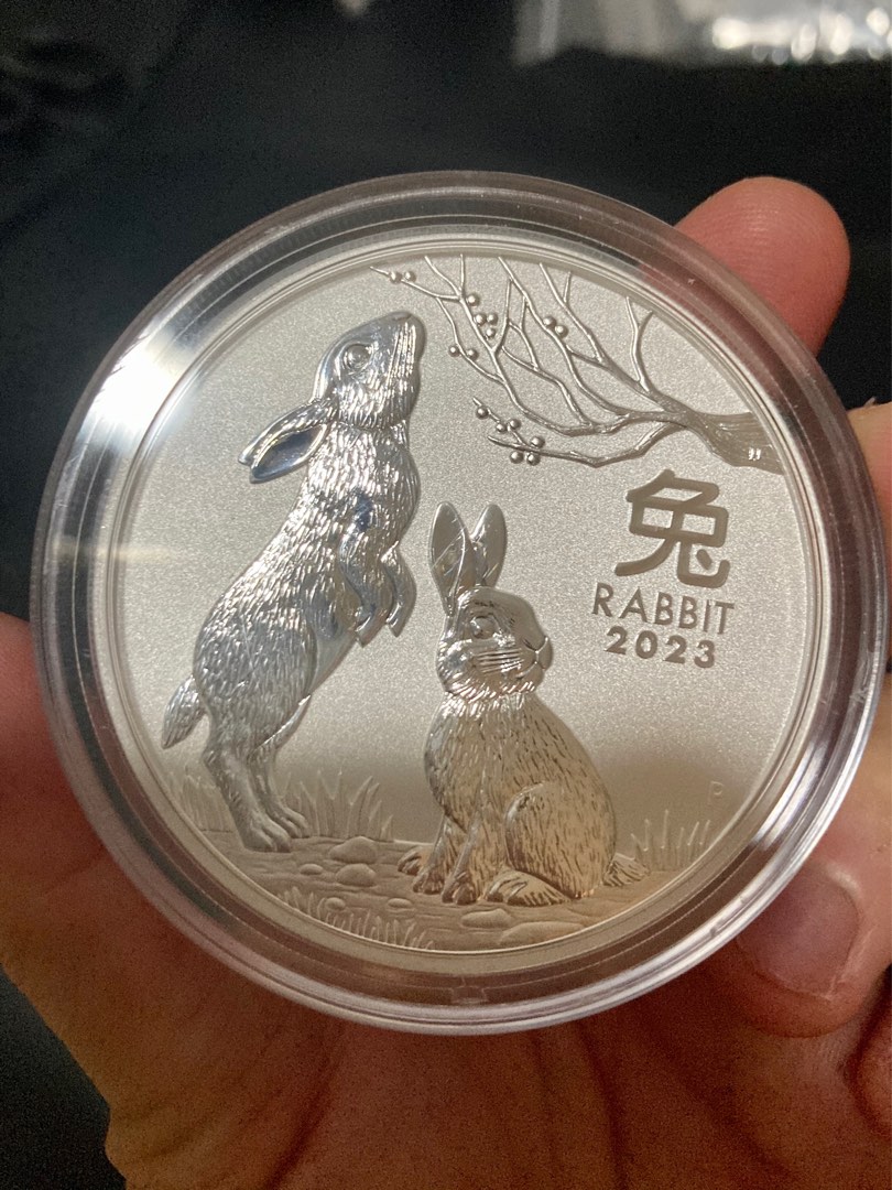 Silver Coin 5oz Lunar Rabbit Perth Mint, Hobbies & Toys, Memorabilia ...