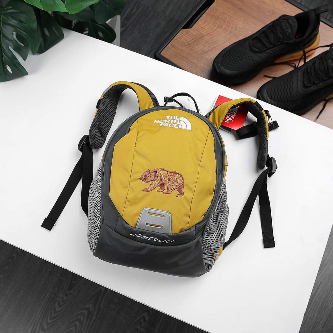 THE NORTH FACE KIDS BACKPACK, Men's Fashion, Bags, Backpacks on Carousell