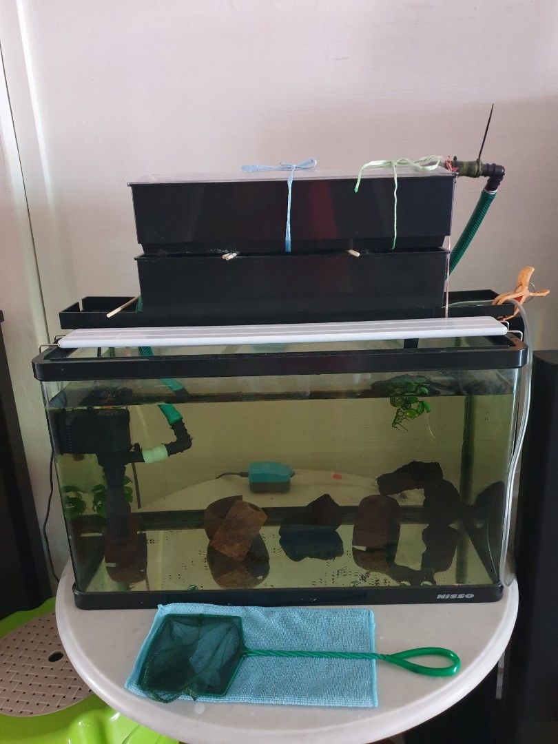 Acrylic 2 feet Aquarium Tank, Pet Supplies, Homes & Other Pet ...