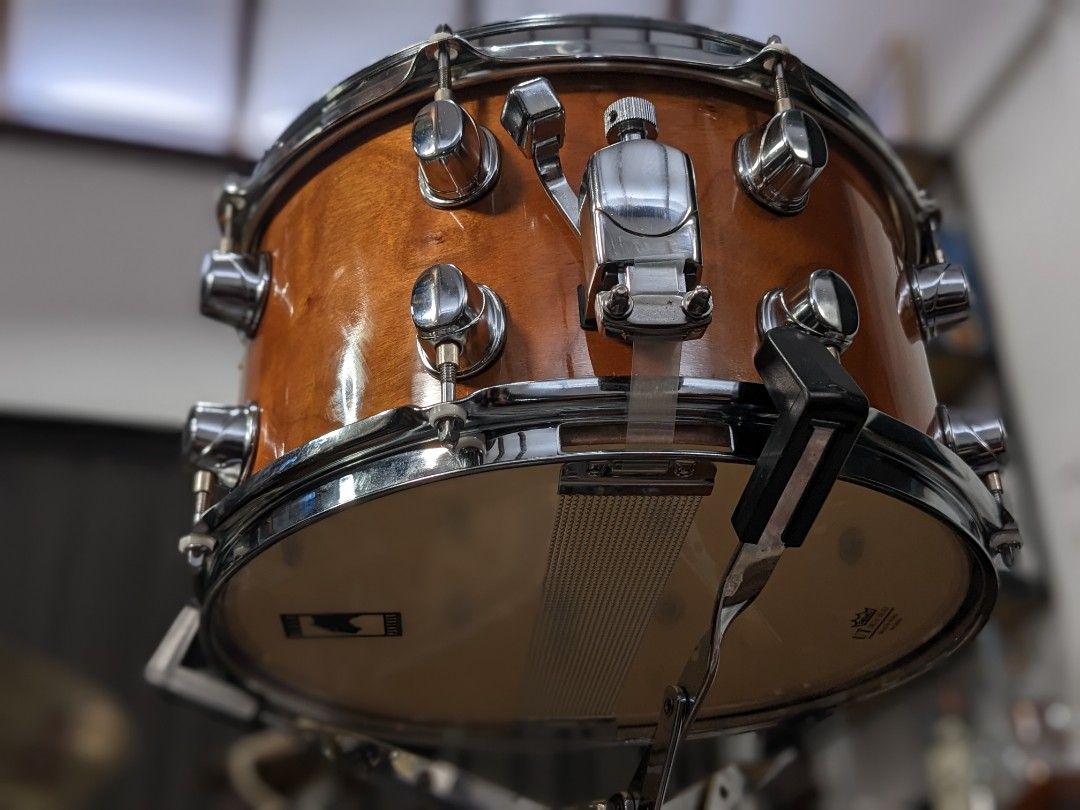 Black Panther Cherry / Maple 12x7 Premium Series Snare Drum, Hobbies ...