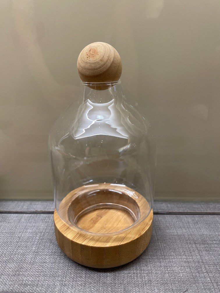 Bn Glass display container, Furniture & Home Living, Home Decor, Other ...