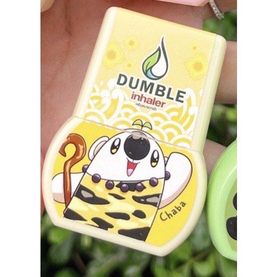 Double Inhaler, Health & Nutrition, Medical Supplies & Tools on Carousell