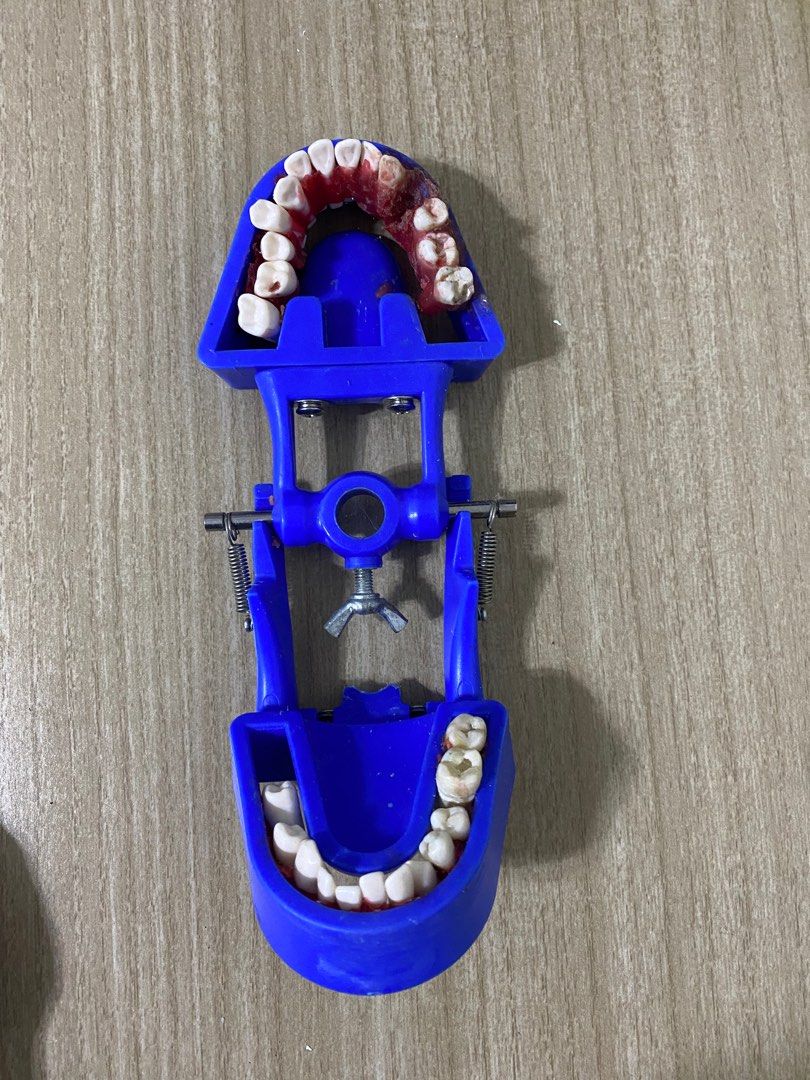 Endo plastic articulator on Carousell
