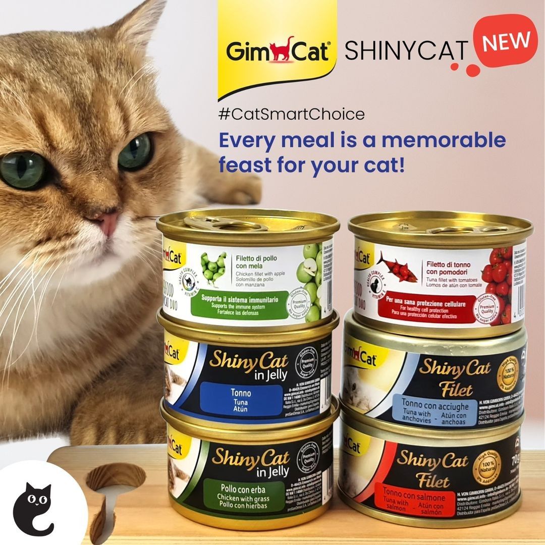 Gimcat Shinycat 70g (24 cans), Pet Supplies, Pet Food on Carousell