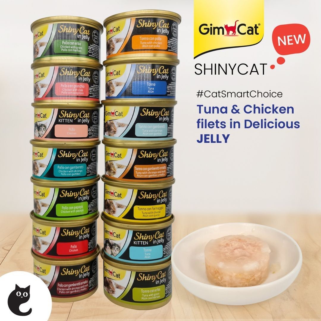 Gimcat Shinycat 70g (24 cans), Pet Supplies, Pet Food on Carousell