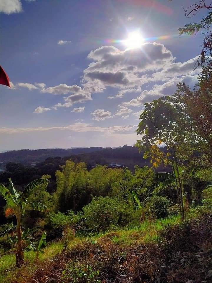 Installment Tanay Farm Lot on Carousell