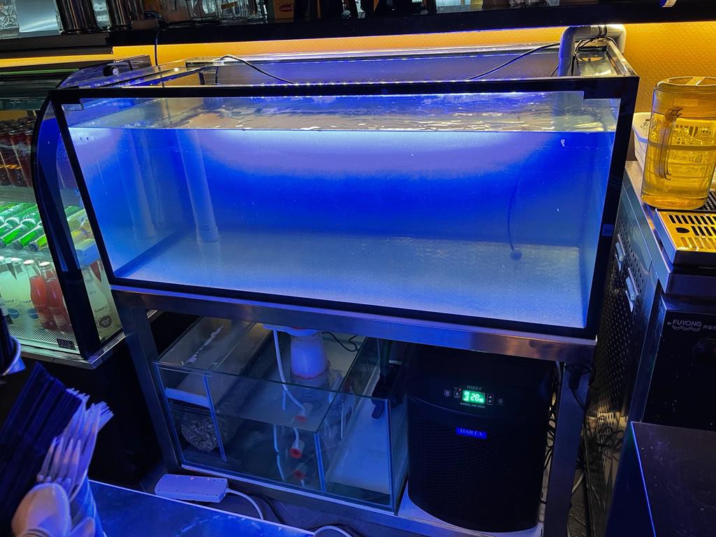 Lobster Tank, Pet Supplies, Homes & Other Pet Accessories on Carousell