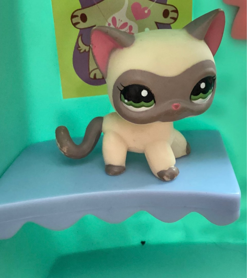 LPS Littlest Petshop Hasbro Shorthair Cat on Carousell