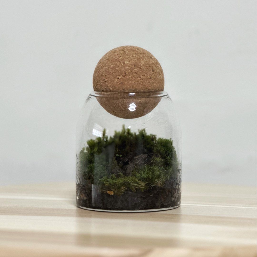 Moss Terrarium No. 02, Furniture & Home Living, Gardening, Plants & Seeds on Carousell