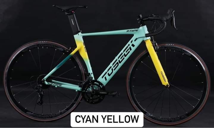 TOSEEK AERO 2x9 HALLOWTECH 2023 Model: R-Type Aero Rimbrake, Sports ...