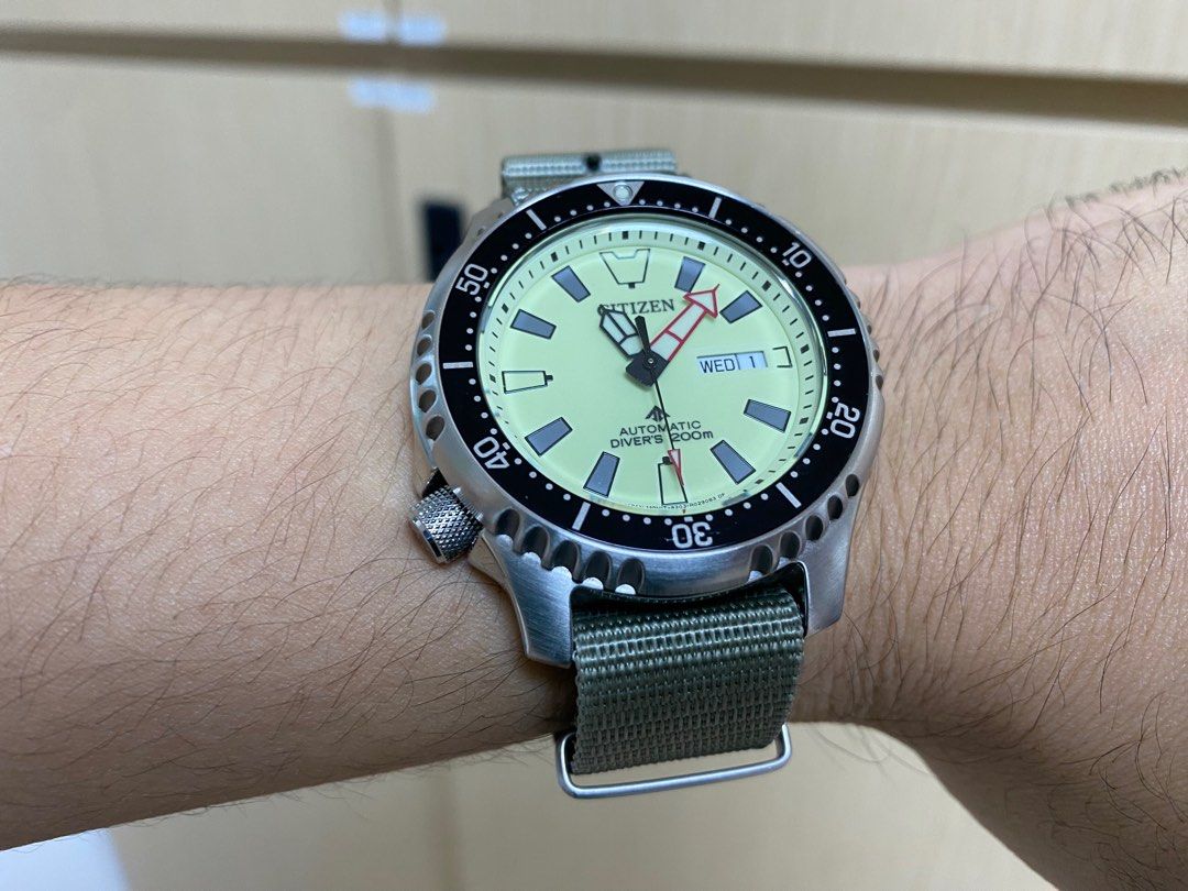 Citizen Promaster Automatic 200M Diver Fugu Fully Lumed Dial Limited ...