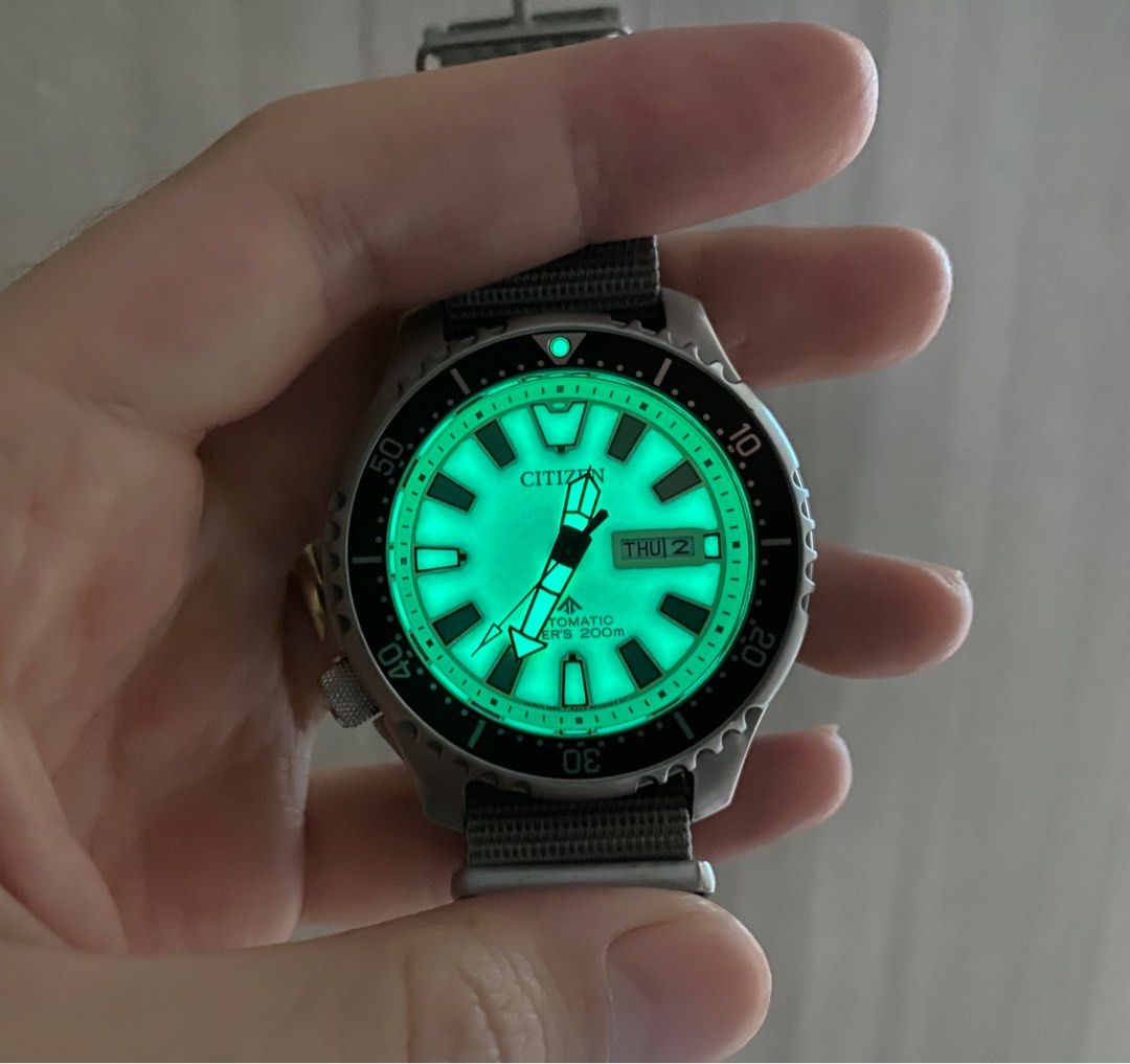 Citizen Promaster Automatic 200M Diver Fugu Fully Lumed Dial Limited ...