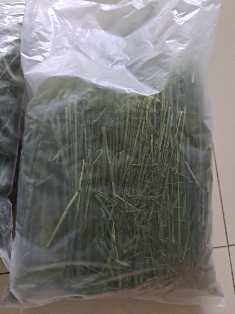 First cut Timothy dried grass(opened), Pet Supplies, Pet Food on Carousell