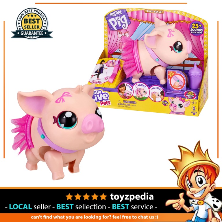 Little Live Pets- My Pet Pig: 'Piggi Bella', Hobbies & Toys, Toys ...