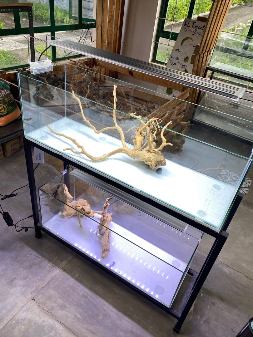 Long and Shallow Aquascaping Tank with Stand, Furniture & Home Living ...