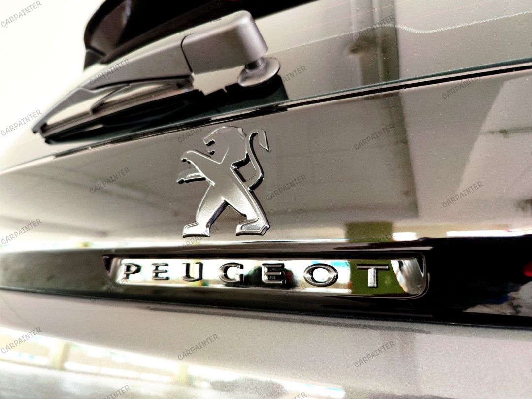 Peugeot 5008 Logo Emblem Plastic Dip Spray Service Plastidip Hyperdip ...