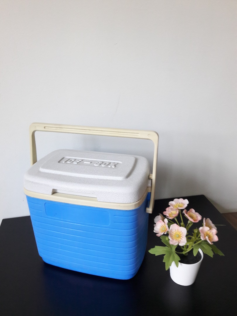 Vintage Ice Cooler Storage Box (Small, 2L), Furniture & Home Living ...