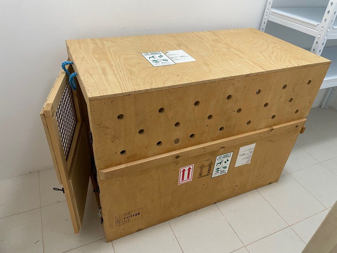 Dog Transport Box - Air Cargo, Pet Supplies, Homes & Other Pet ...