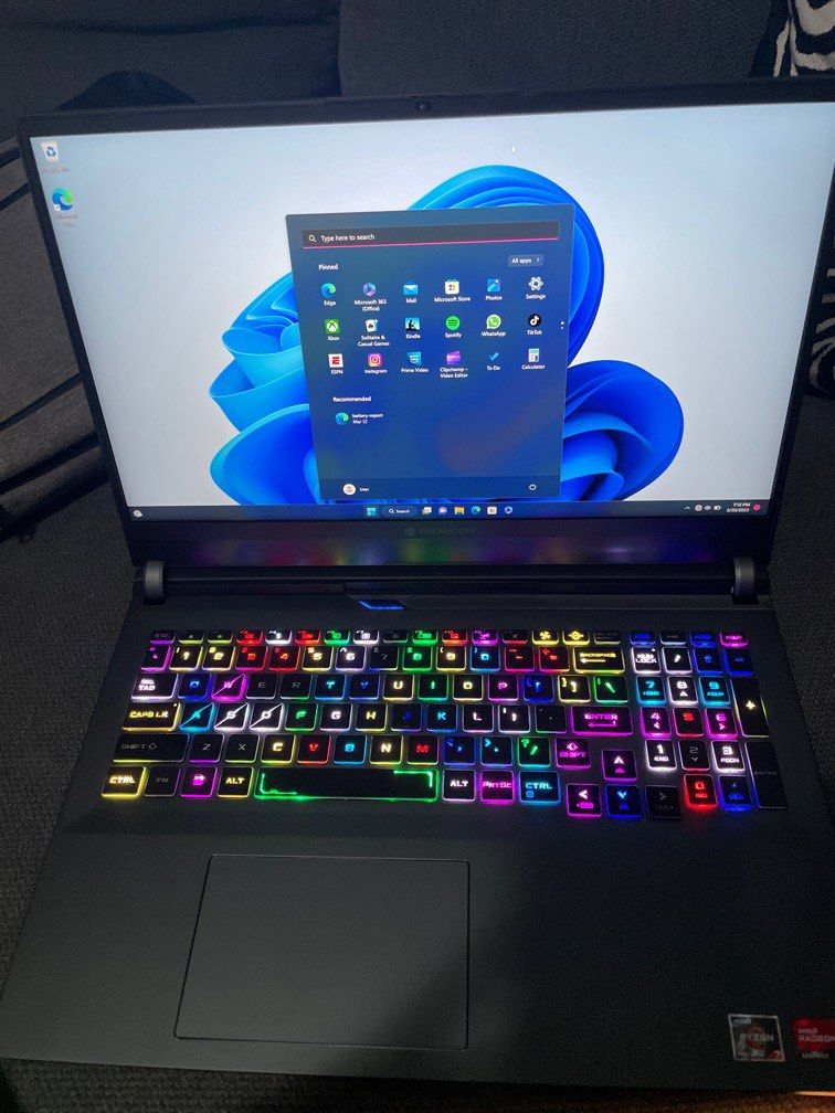 Dreamcore gaming laptop, Computers & Tech, Laptops & Notebooks on Carousell