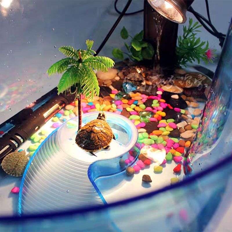 LEAP Acrylic Terrapin Tank | Tortoise Turtle Plastic Tank, Pet Supplies ...