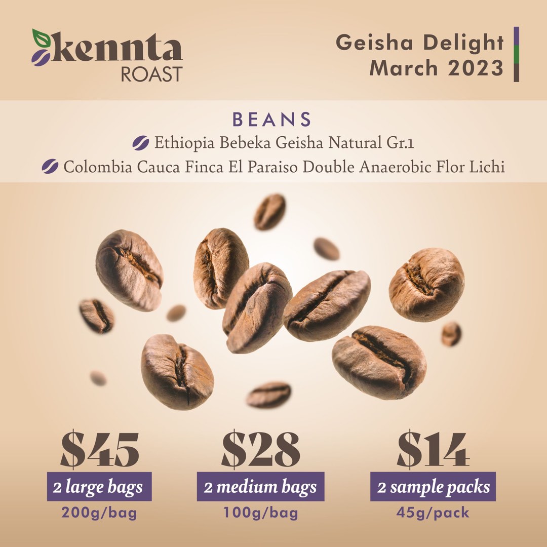 March 2023 Geisha Bundle coffee bean, Food & Drinks, Beverages on Carousell